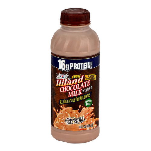 Hiland Premium Chocolate Milk, Half Gallon, 16 Fl Oz - 16 Fluid Ounce ...